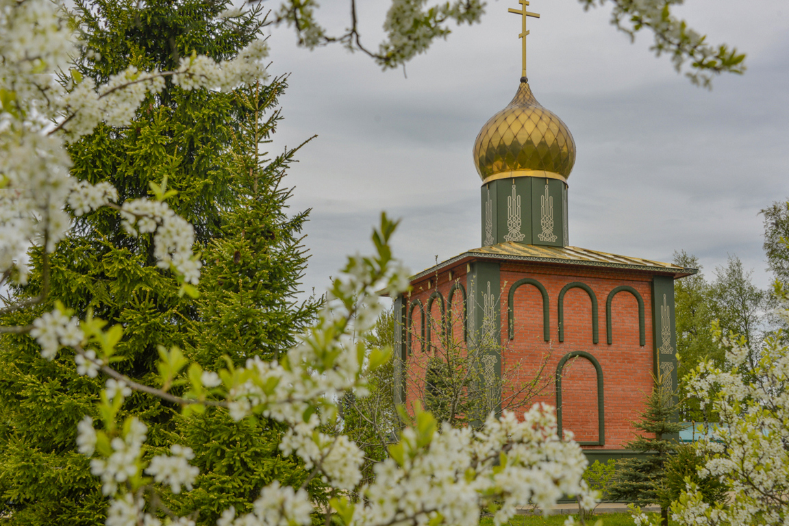 8 лет парку "Патриот"! мероприятие - парк Патриот